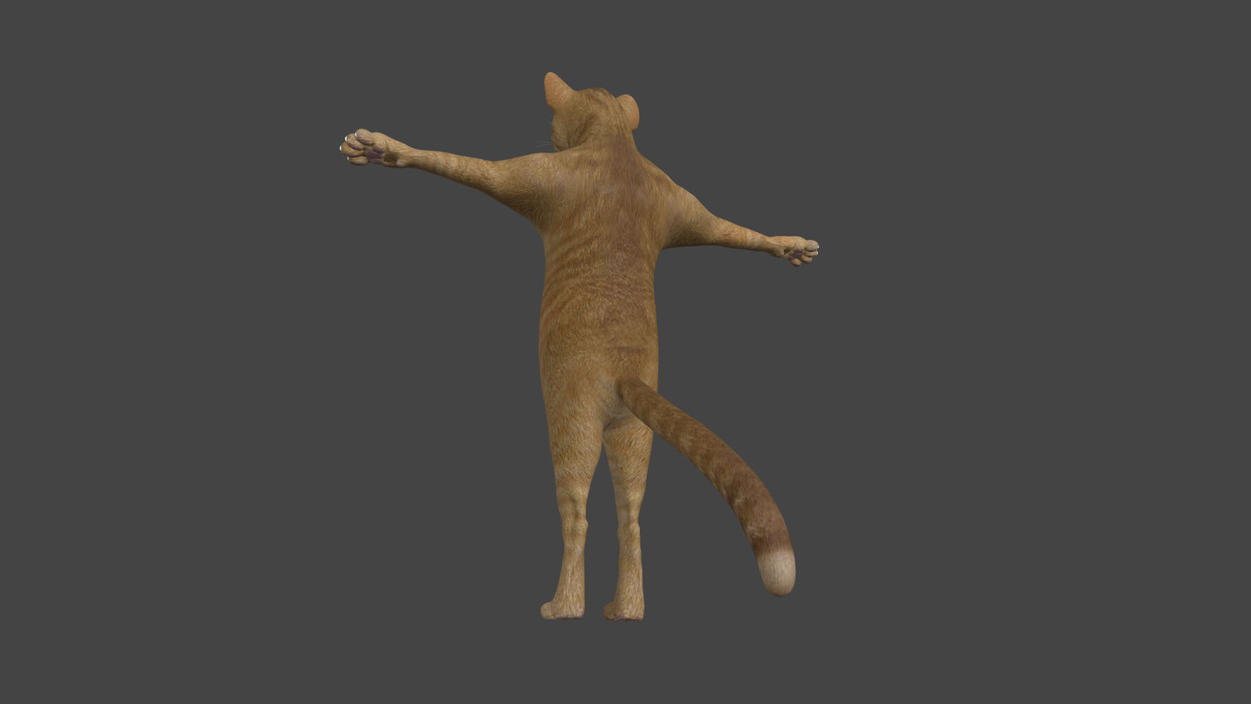 ArtStation - PUSS.001 Rigged Cat | Game Assets