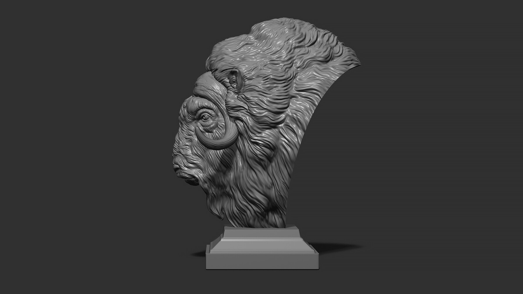 ArtStation - Musk ox head bust | Resources