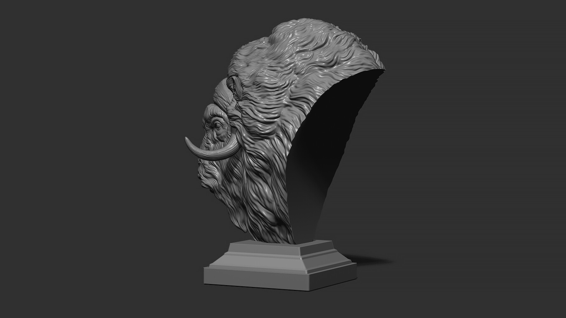 ArtStation - Musk ox head bust | Resources