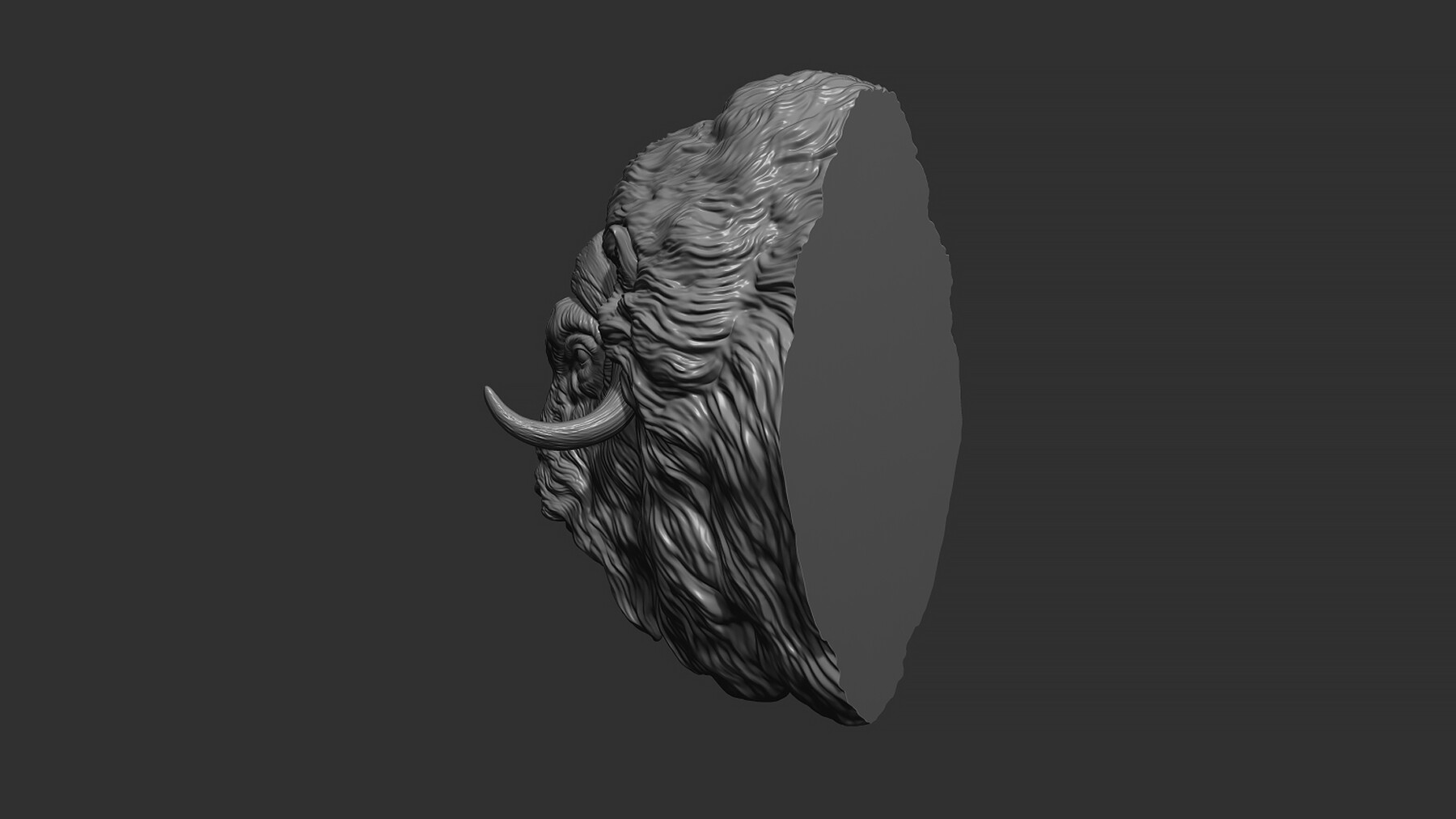ArtStation - Musk ox head bust | Resources