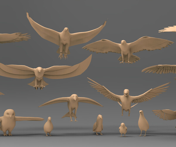 ArtStation - 25 Basemesh bird collection | Resources