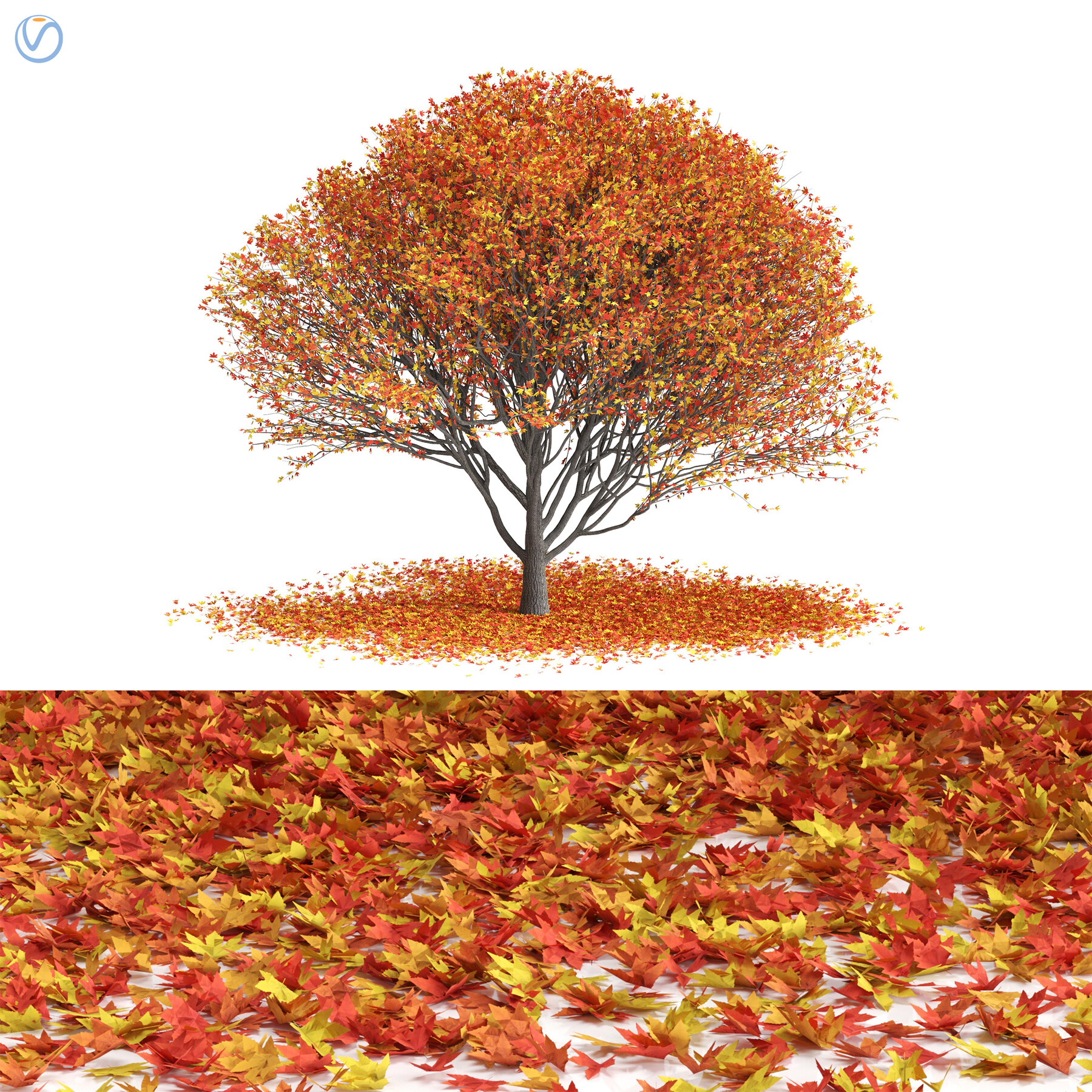 ArtStation - Maple Tree | Resources