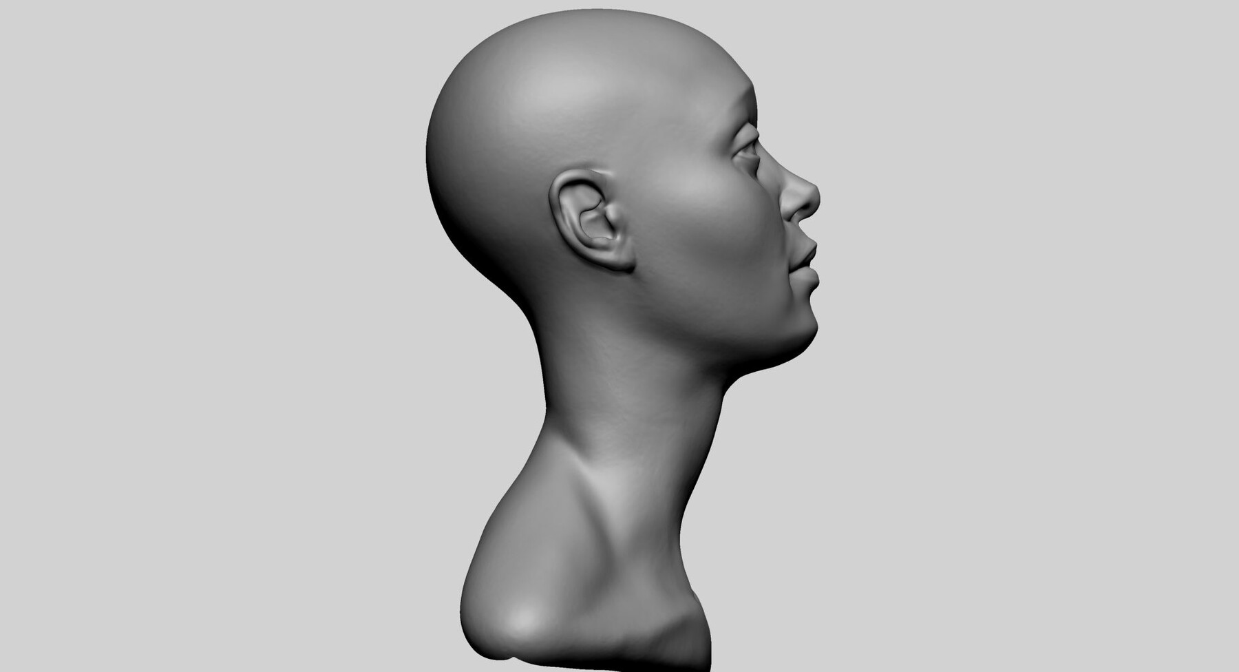 ArtStation - Base Female Head D | Resources