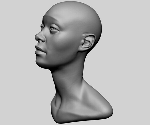 ArtStation - Base Female Head D | Resources