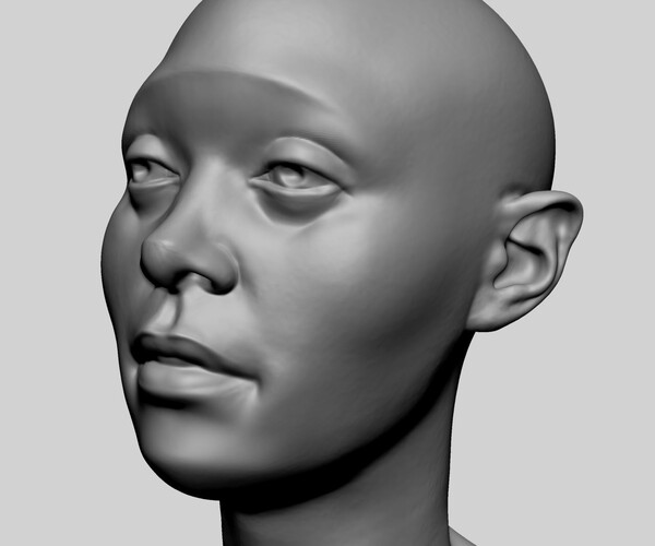 ArtStation - Base Female Head D | Resources