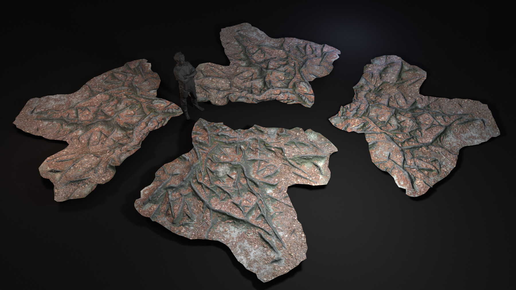 ArtStation - Beech forest ground 6 of 6 | Game Assets