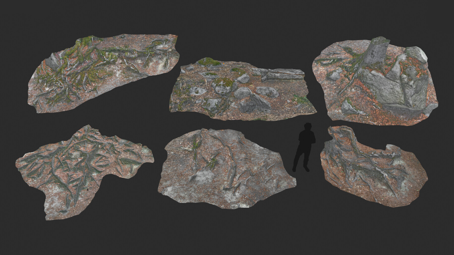 ArtStation - Beech forest ground roots - PBR Game ready scan bake | Game Assets