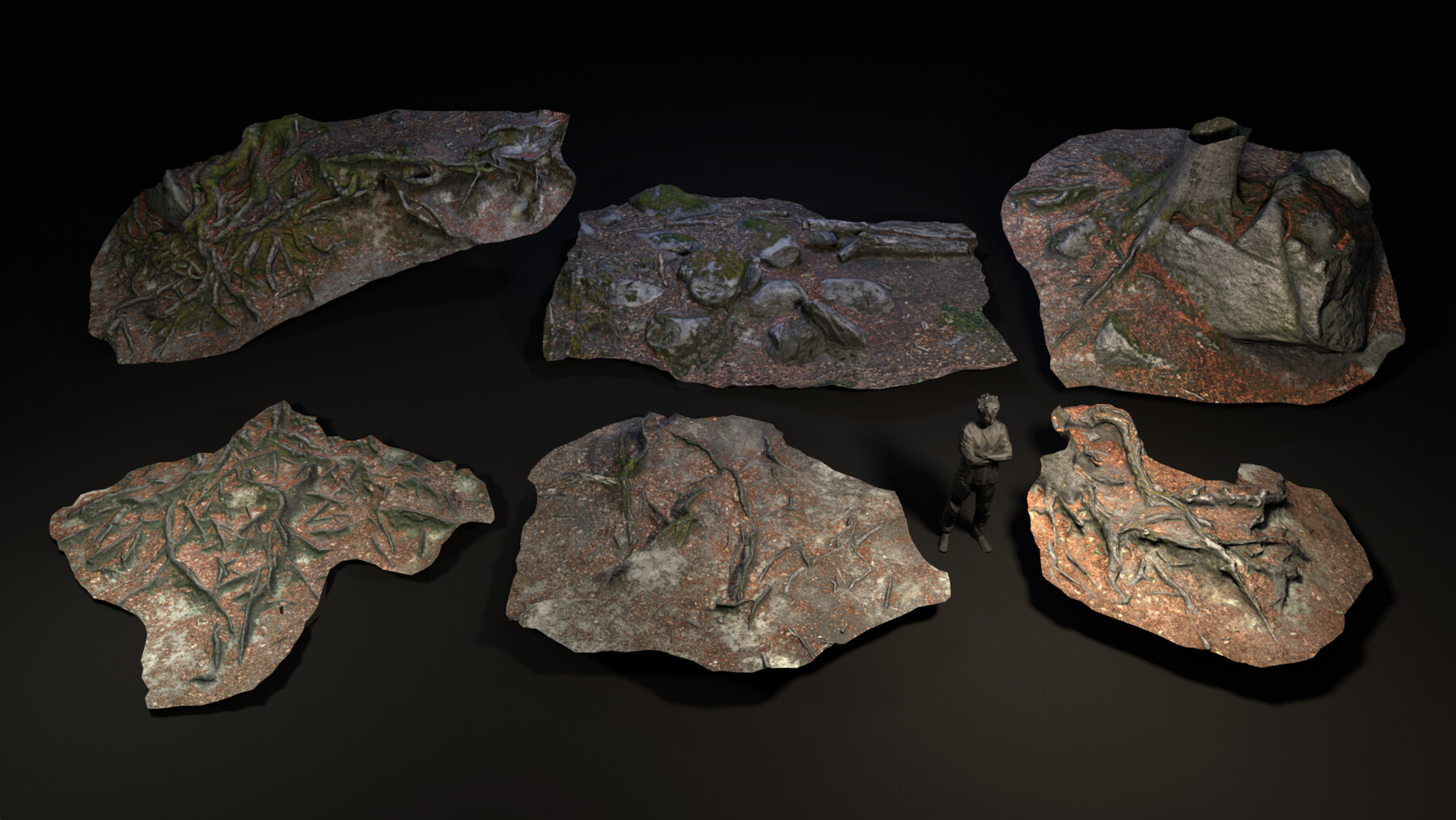 ArtStation - Beech forest ground roots - PBR Game ready scan bake | Game Assets