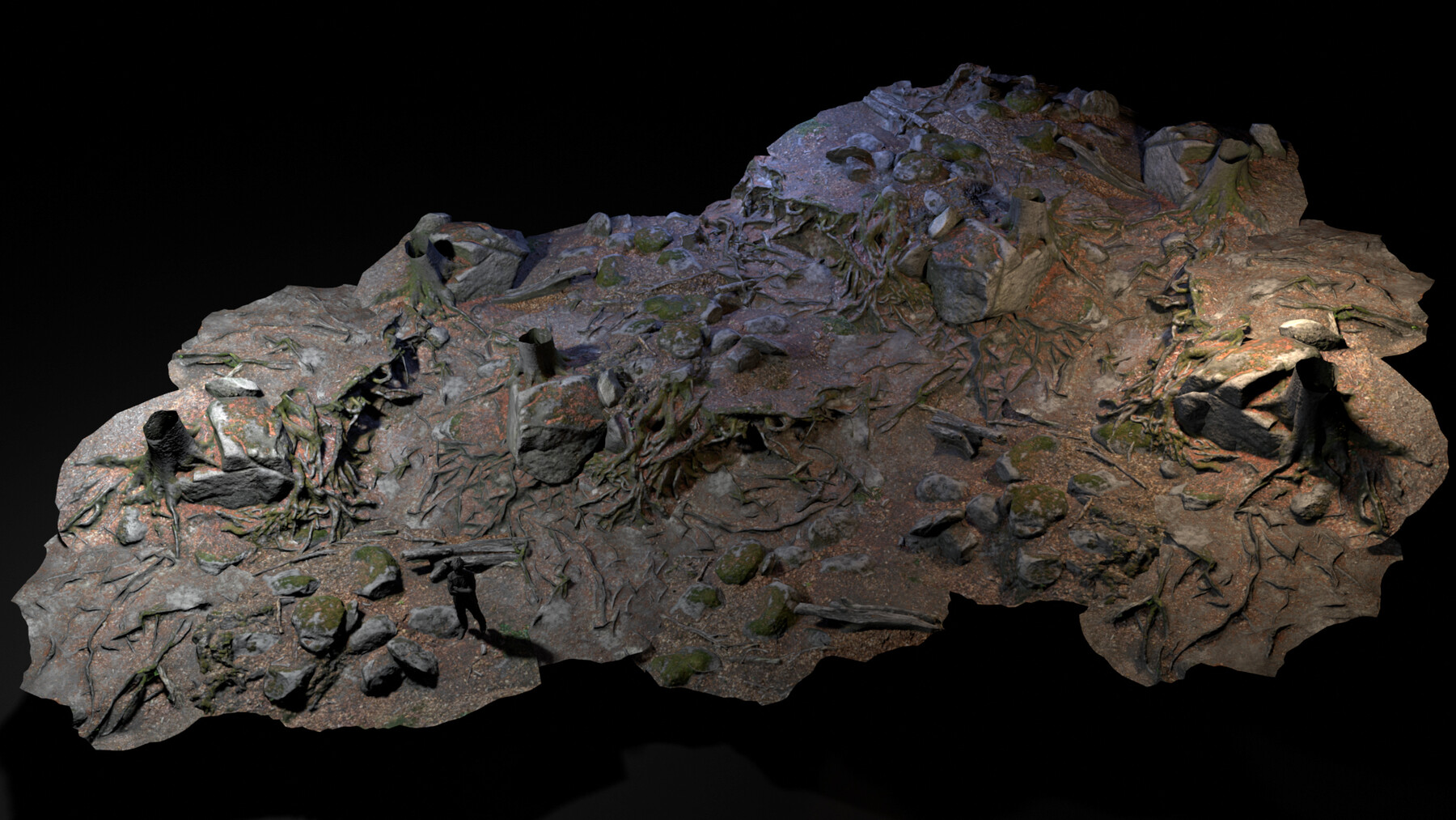 ArtStation - Beech forest ground roots - PBR Game ready scan bake | Game Assets