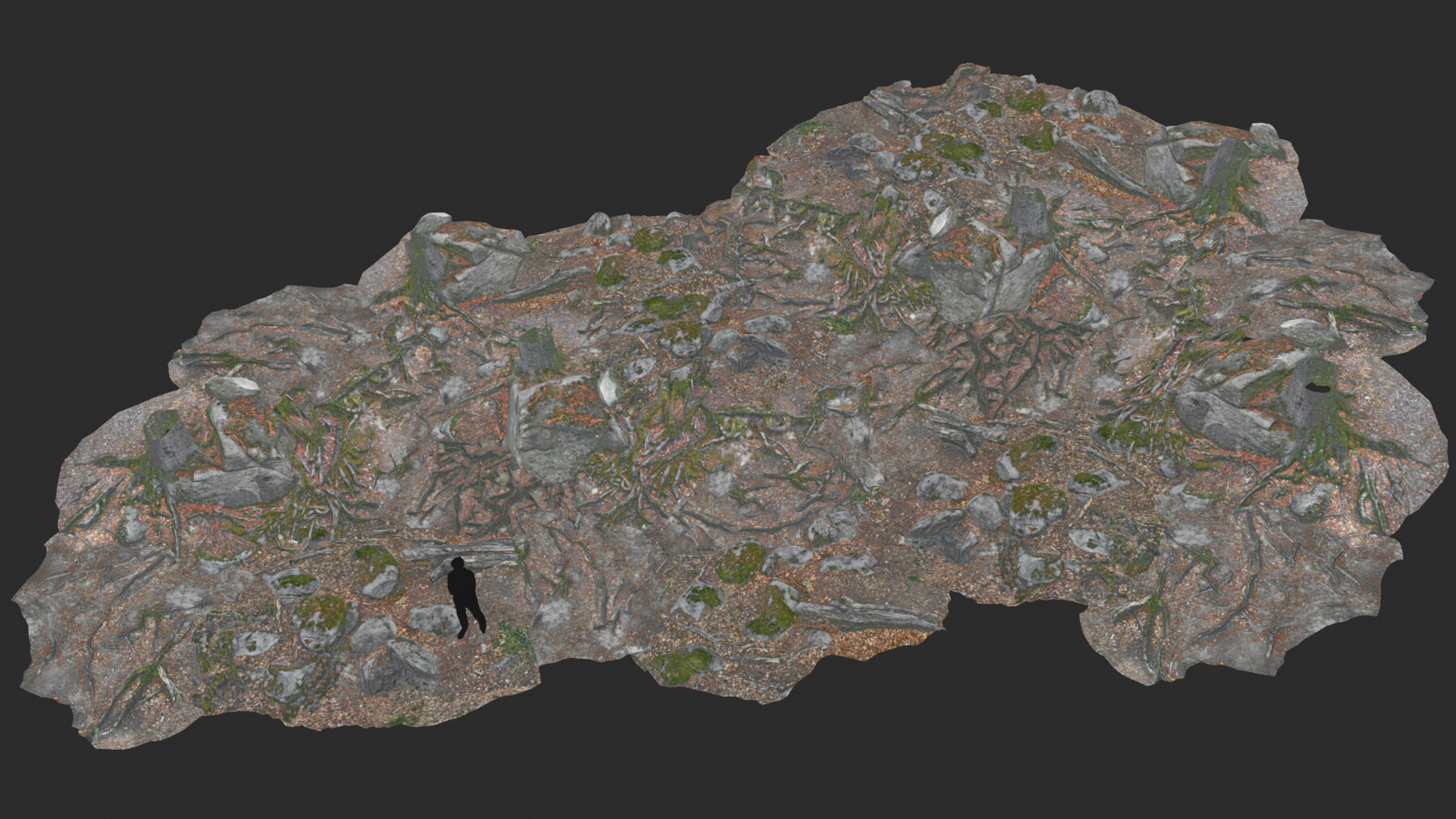 ArtStation - Beech forest ground roots - PBR Game ready scan bake | Game Assets