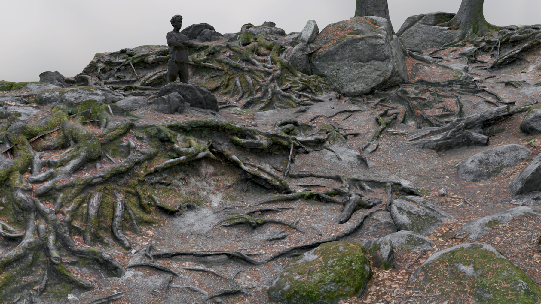 ArtStation - Beech forest ground roots - PBR Game ready scan bake | Game Assets