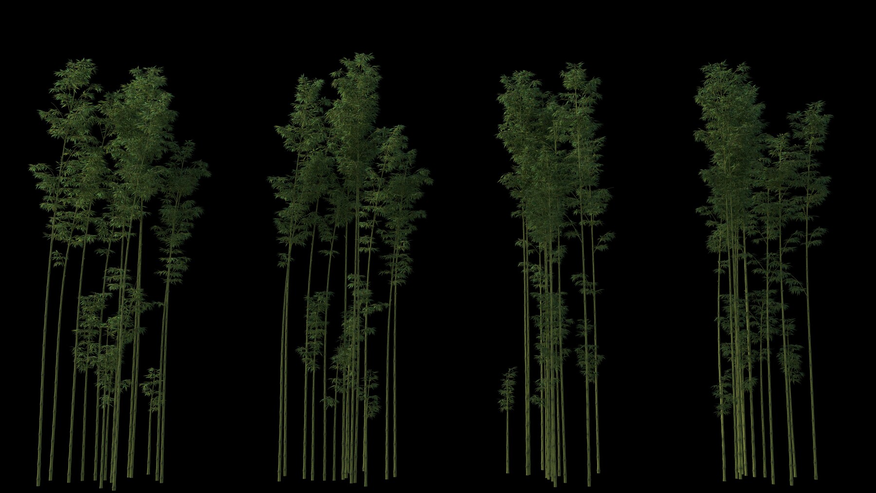 ArtStation - Bamboo forest with wind animation | Resources