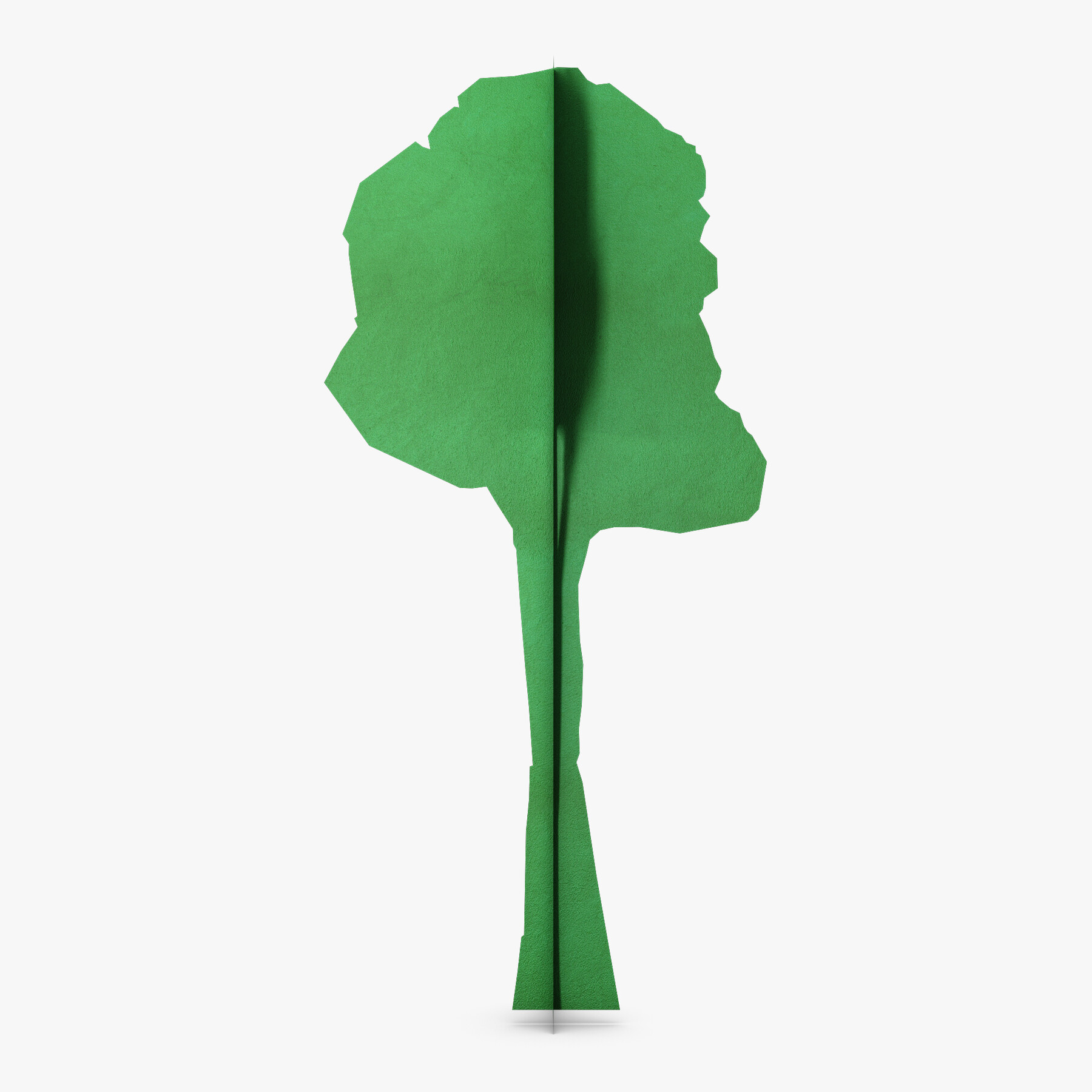 ArtStation - Fagaceae Tree Paper v 1 | Resources