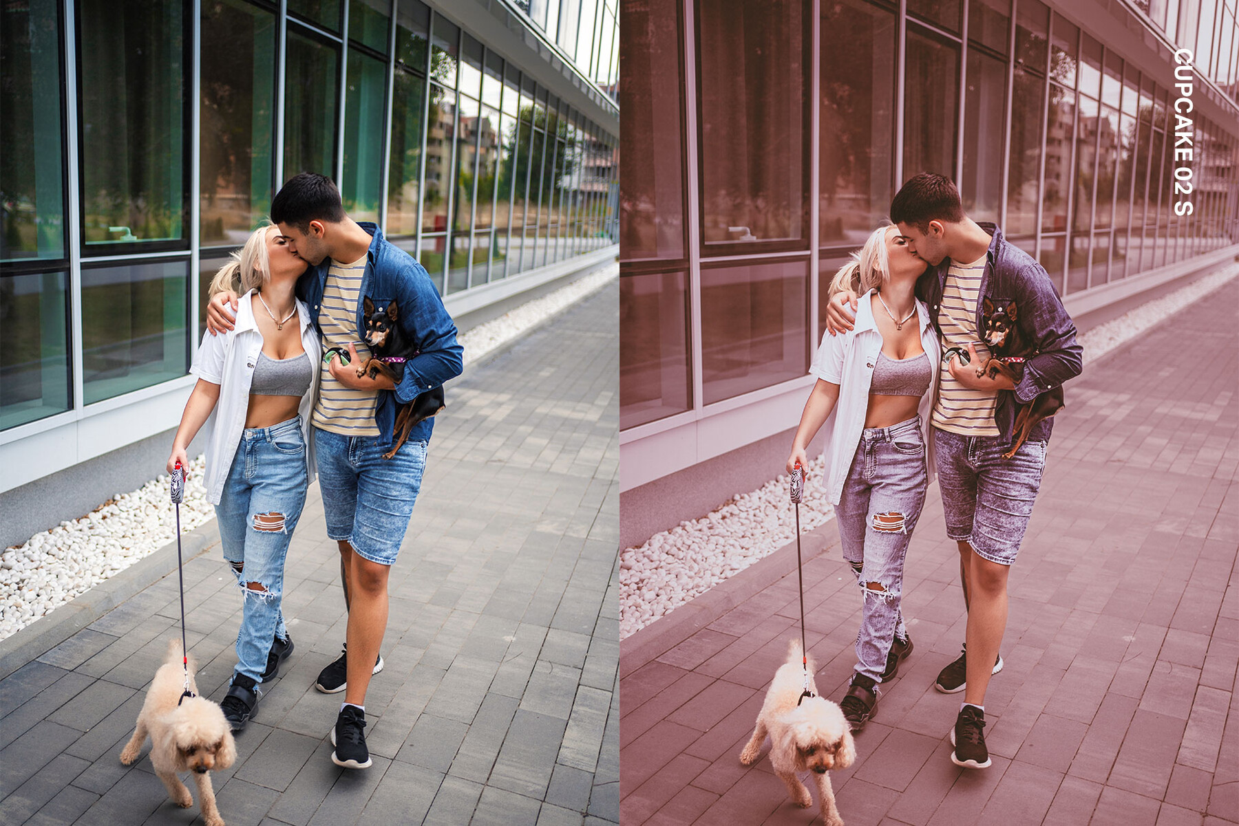 ArtStation - 14 Valentines Pink LUTs & Lightroom Presets | Artworks