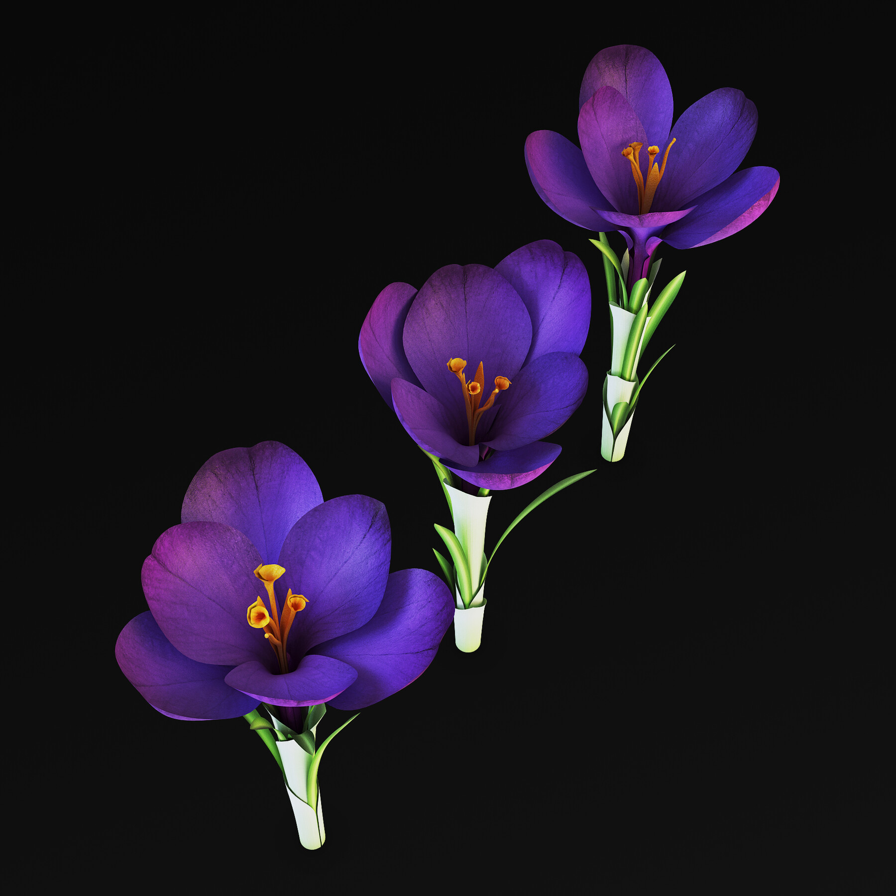 ArtStation - Flower Crocus Violet v 1 | Resources