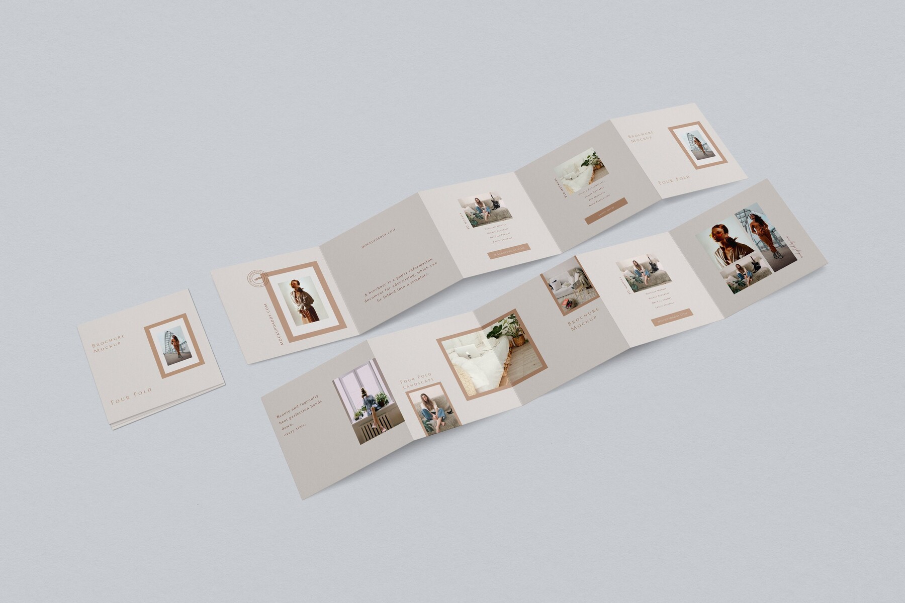 ArtStation - 5 Fold Brochure Mockup | Artworks