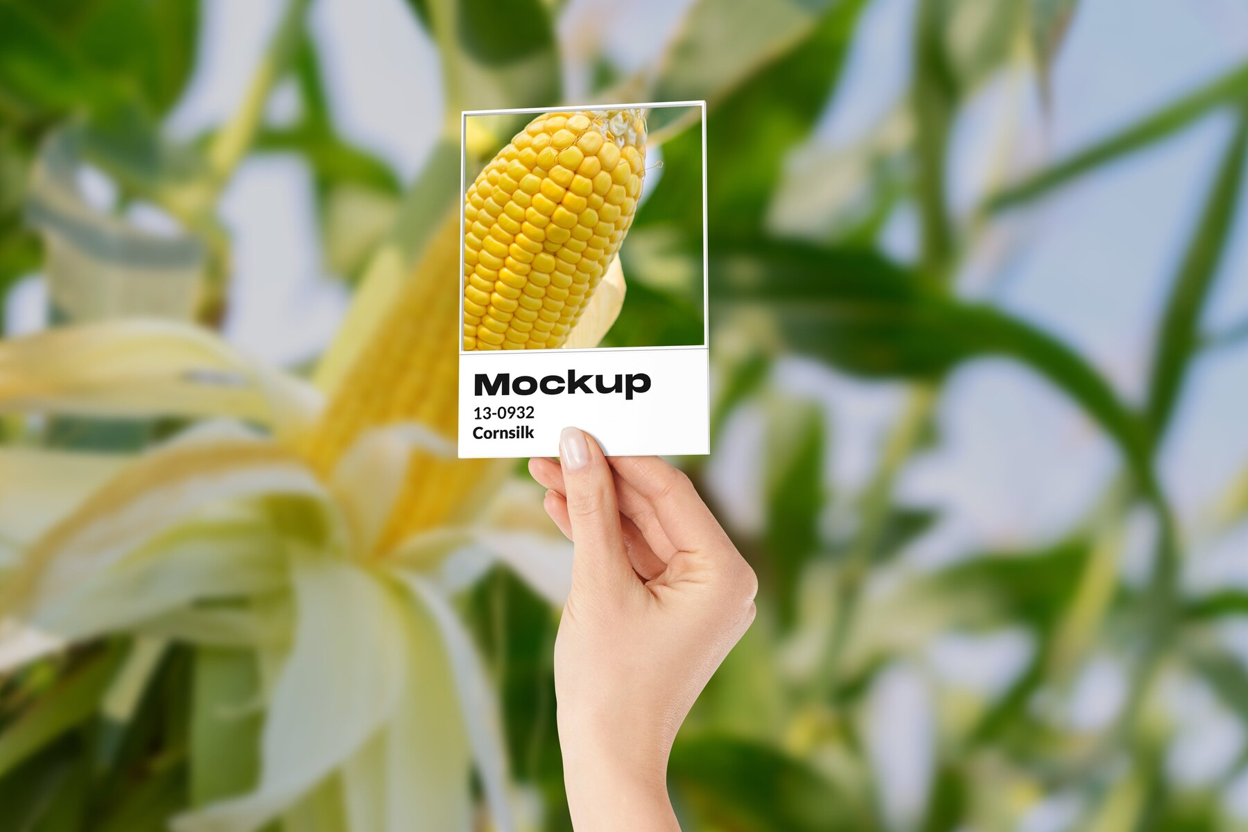 ArtStation - Pantone Cards Mockup | Artworks