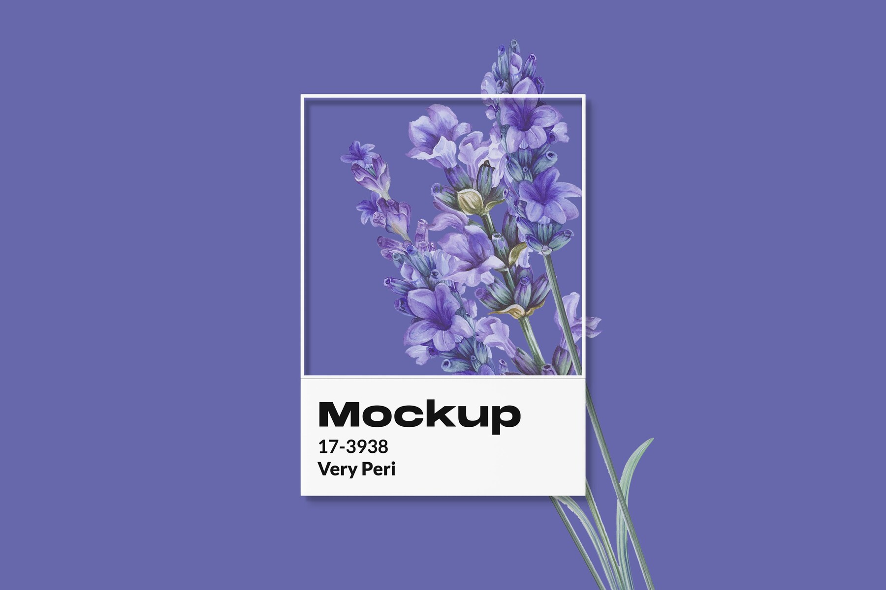 ArtStation - Pantone Cards Mockup | Artworks