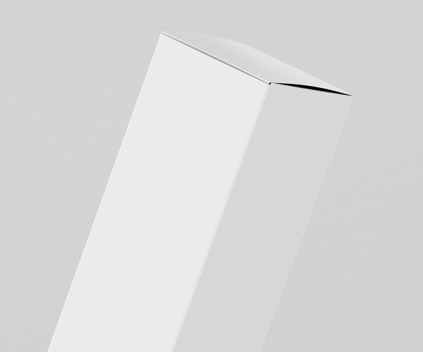 ArtStation - Rectangle Box Mockup | Artworks
