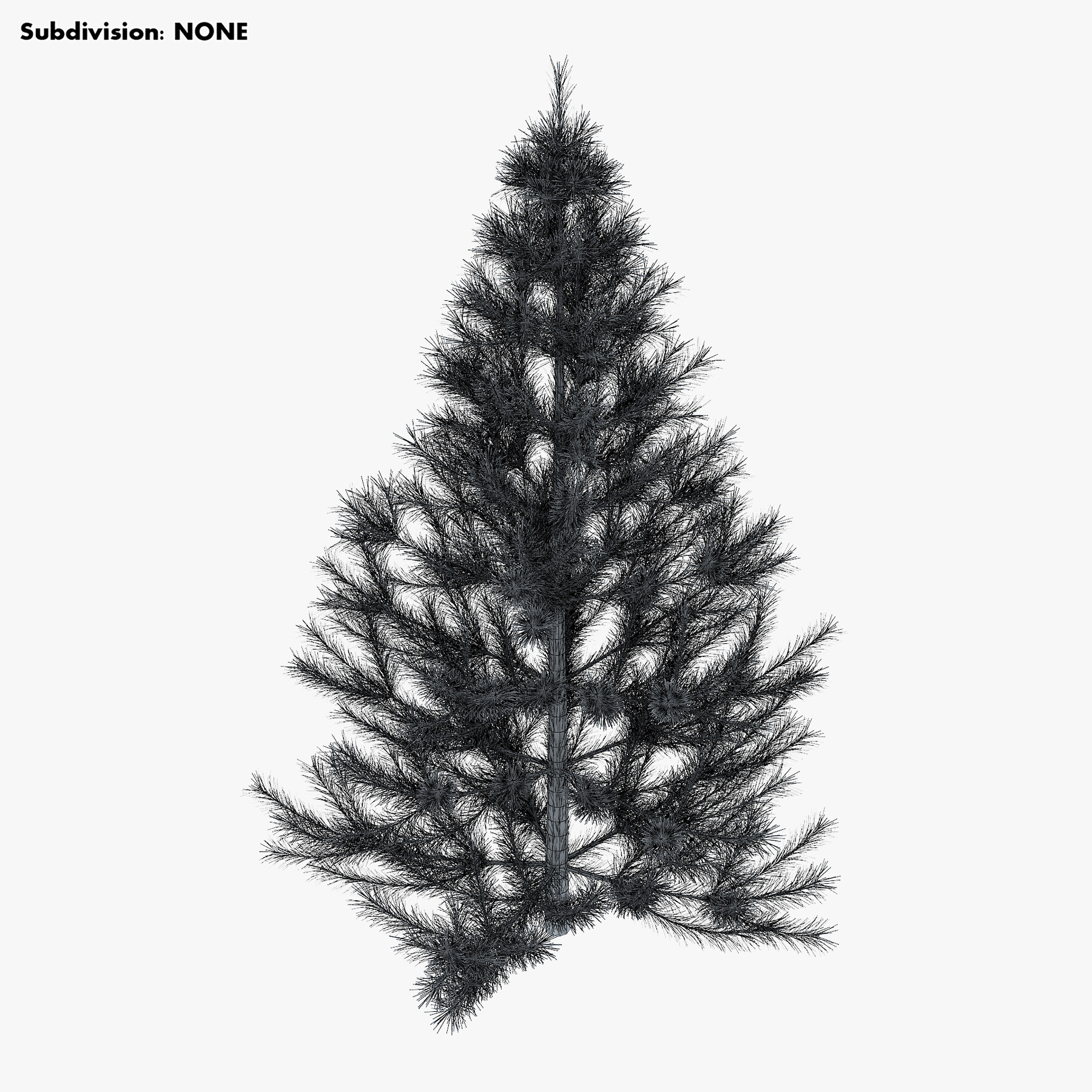 ArtStation - Conifer Tree 150cm v 1 | Resources