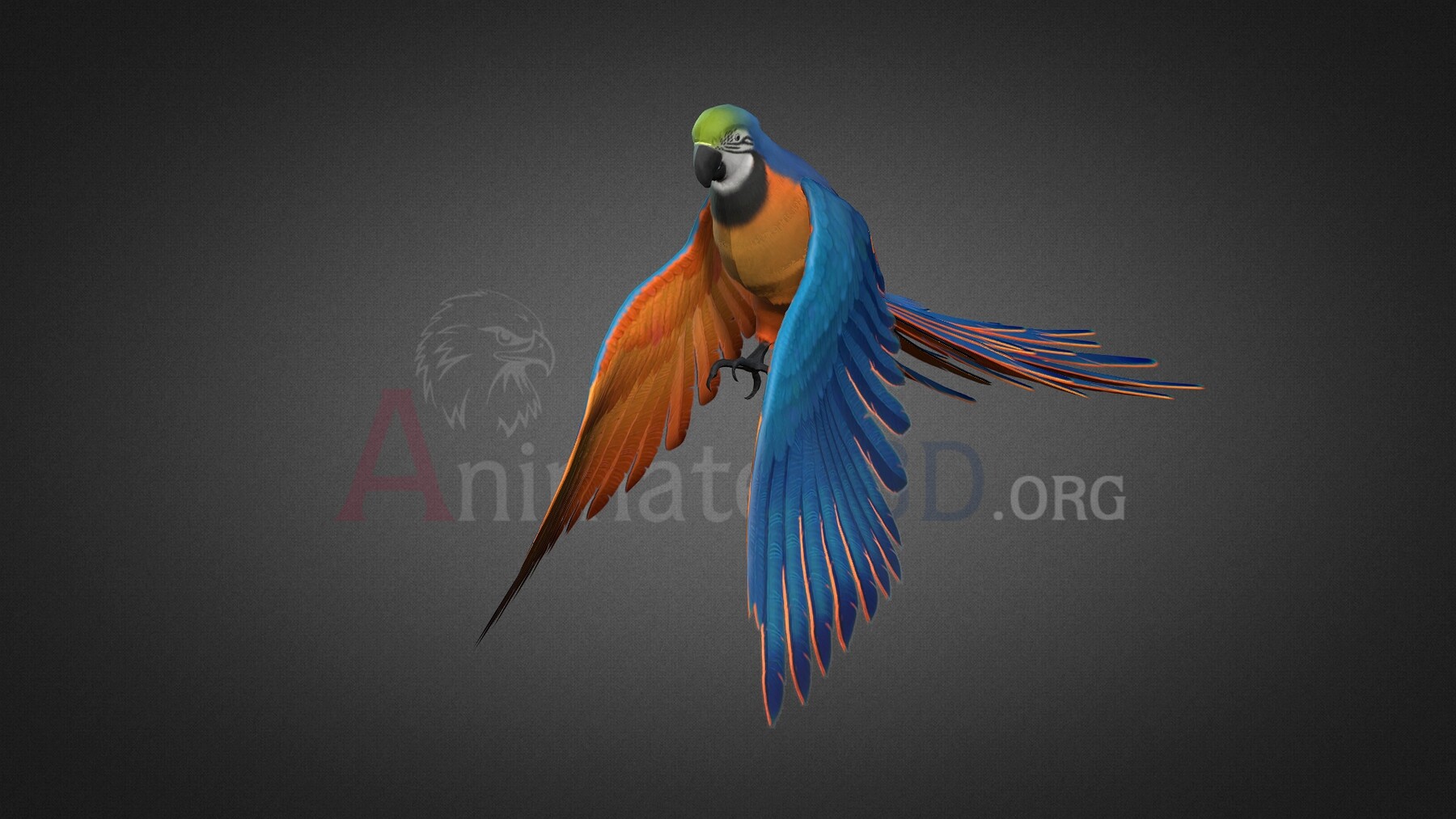 ArtStation - Parrot-1-FlySlow | Game Assets