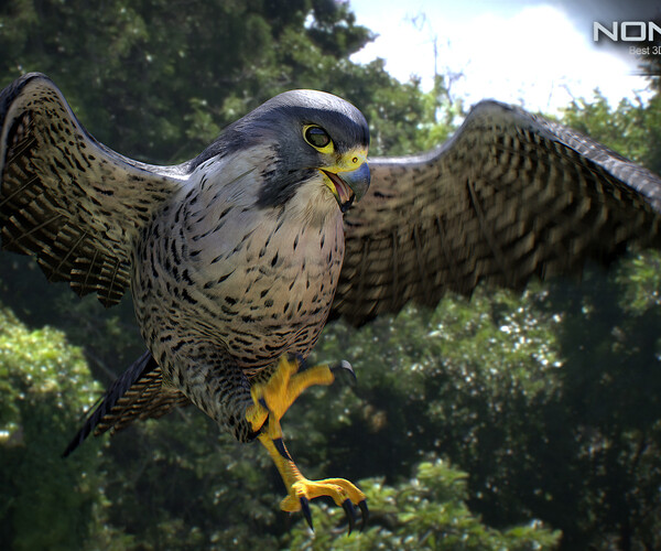 ArtStation - 3D Animated Falcon | Game Assets