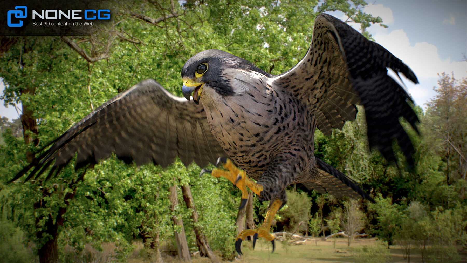 NoneCG 3D models - 3D Animated Falcon