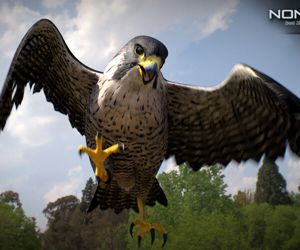 ArtStation - 3D Animated Falcon | Game Assets
