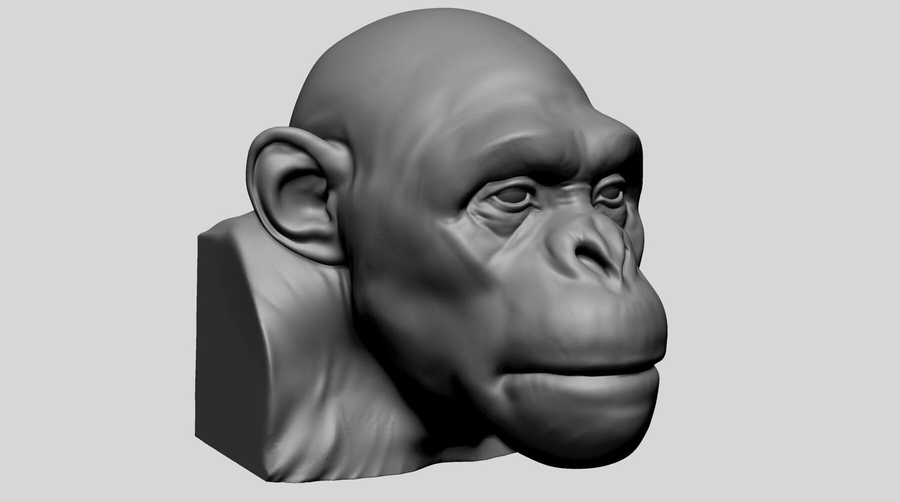 ArtStation - Chimp Head | Resources
