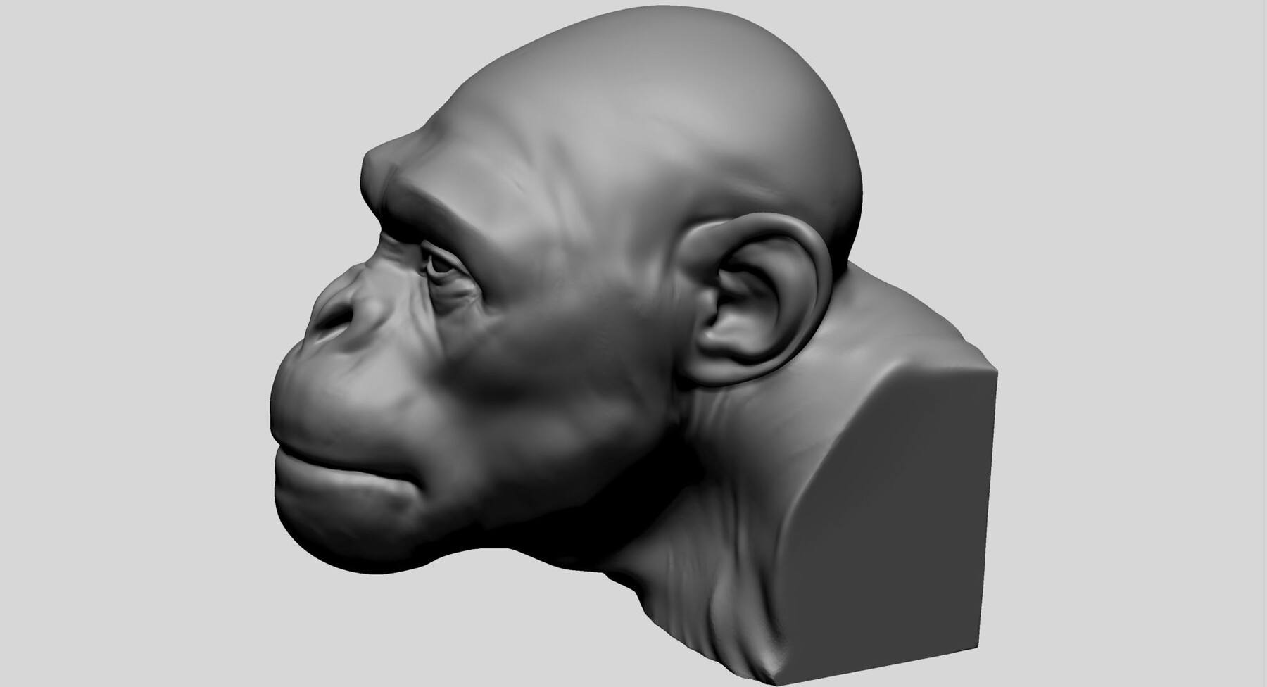 ArtStation - Chimp Head | Resources
