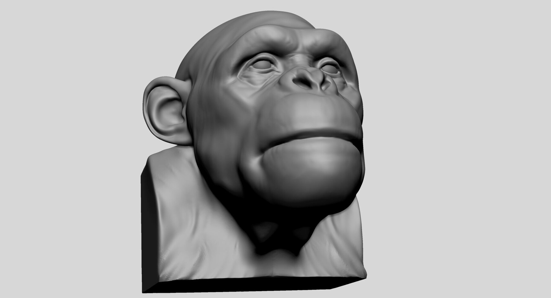ArtStation - Chimp Head | Resources