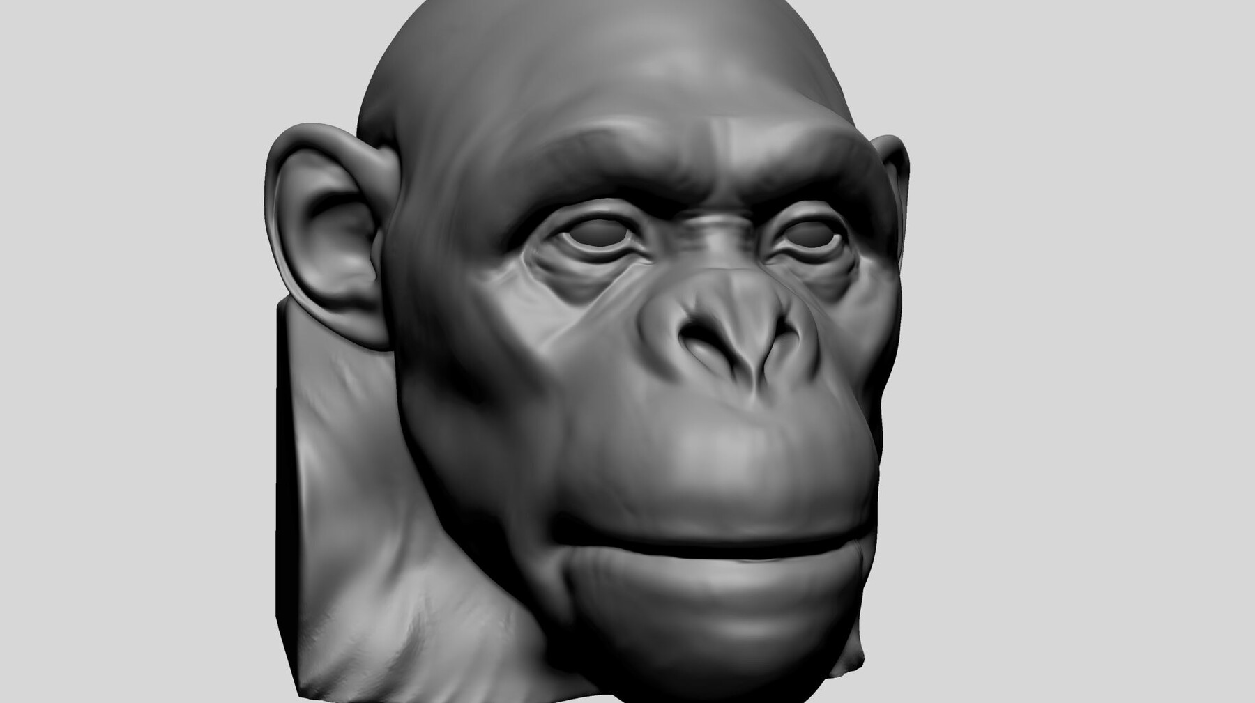 ArtStation - Chimp Head | Resources