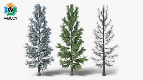 ArtStation - 3D Model: Low Poly Pine Tree | Resources