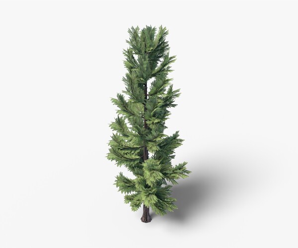ArtStation - 3D Model: Low Poly Pine Tree | Resources