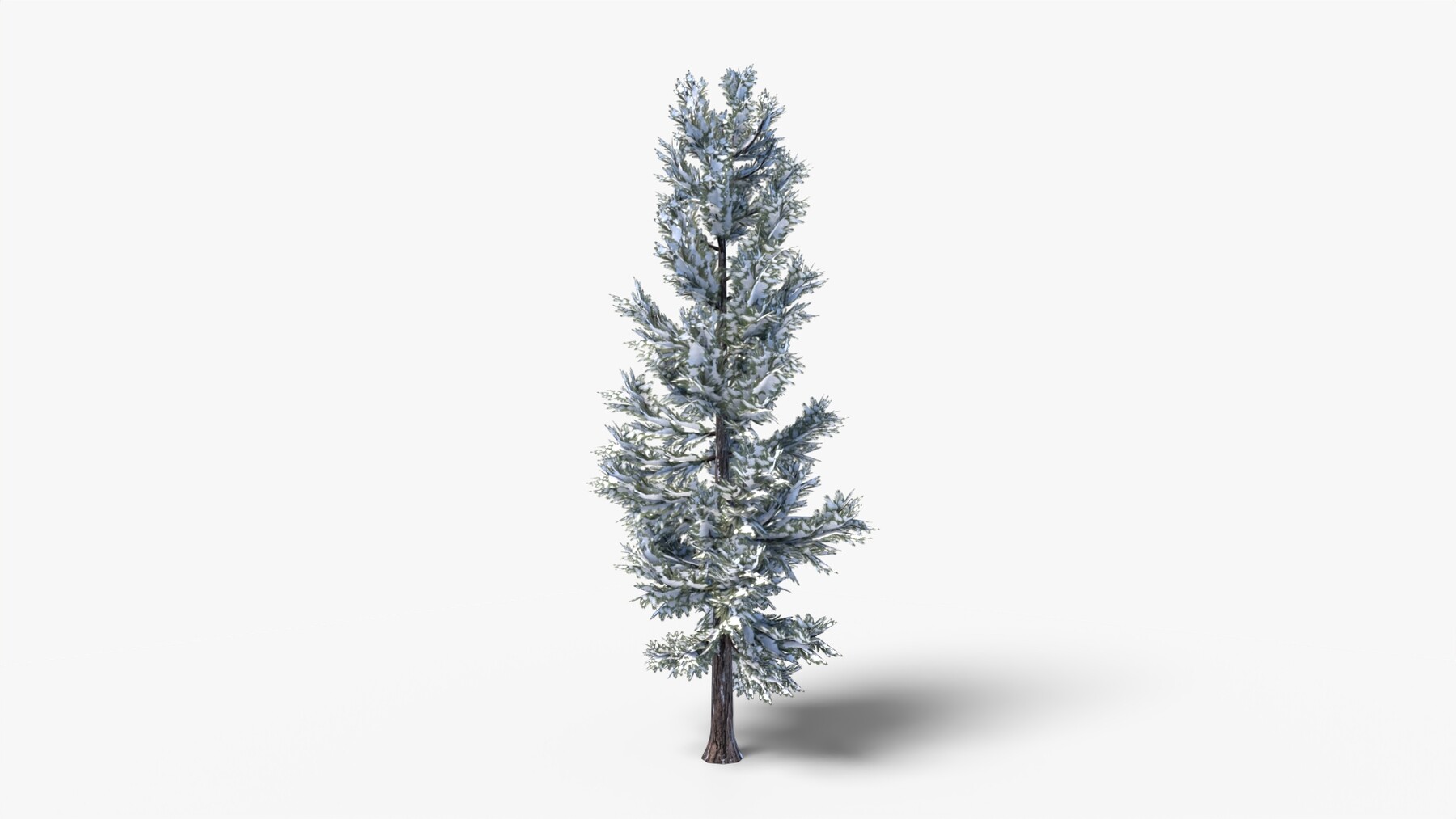 ArtStation - 3D Model: Low Poly Pine Tree | Resources