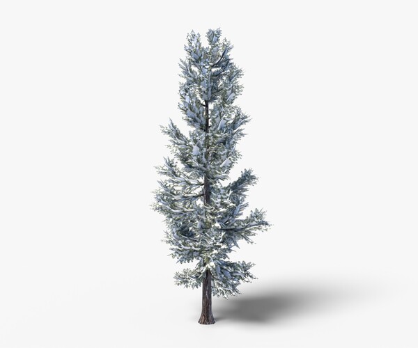 ArtStation - 3D Model: Low Poly Pine Tree | Resources