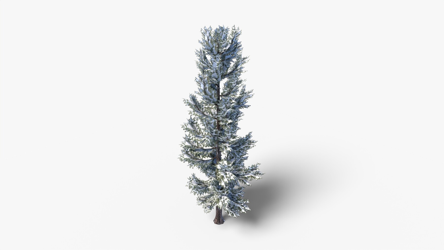 ArtStation - 3D Model: Low Poly Pine Tree | Resources