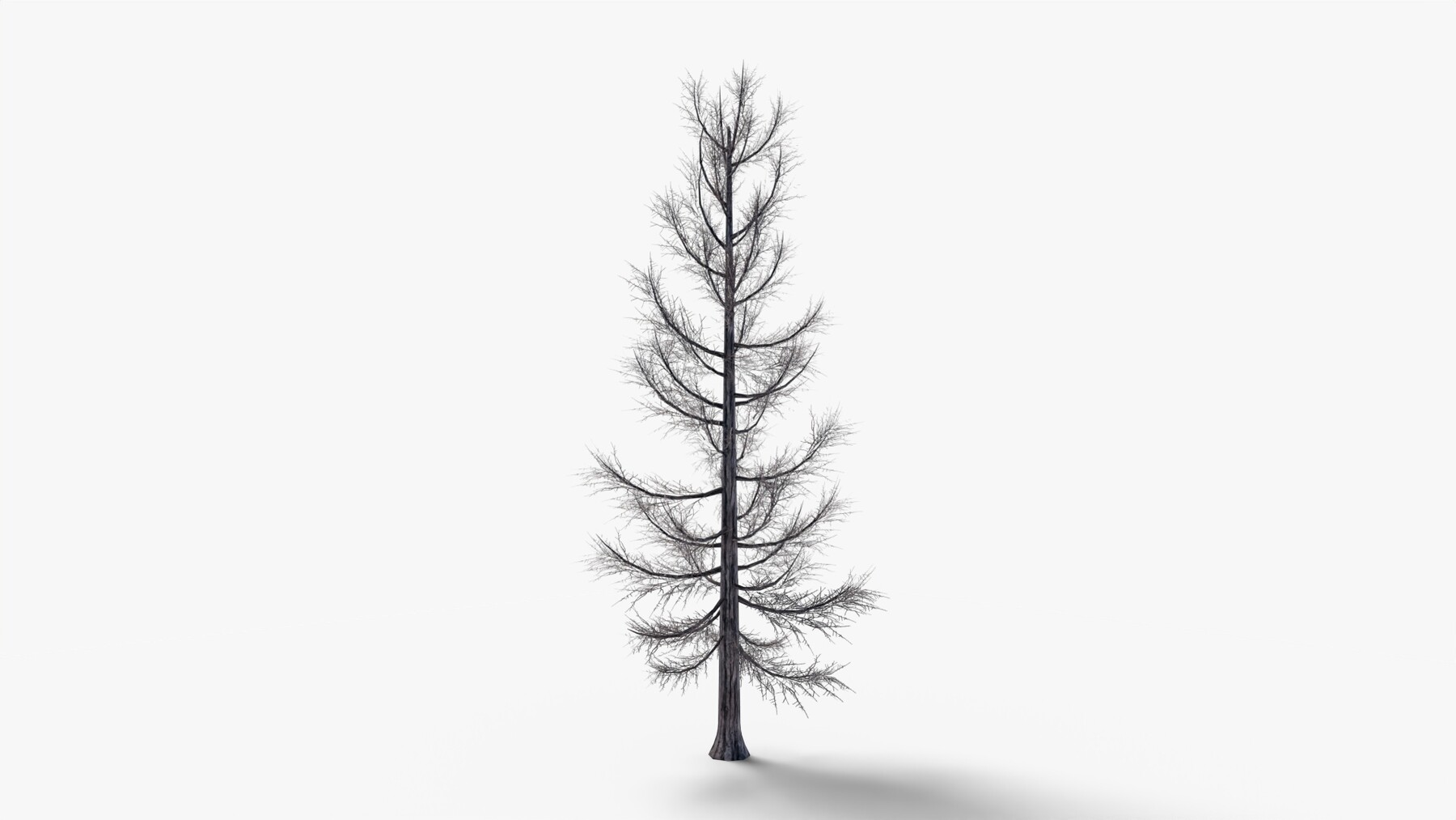 ArtStation - 3D Model: Low Poly Pine Tree | Resources