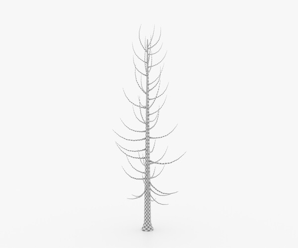 ArtStation - 3D Model: Low Poly Pine Tree | Resources