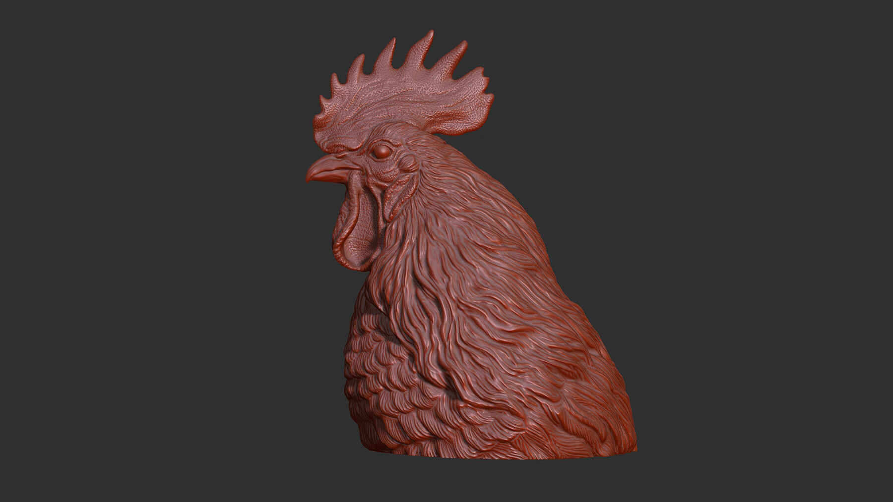 ArtStation - Rooster bust | Resources