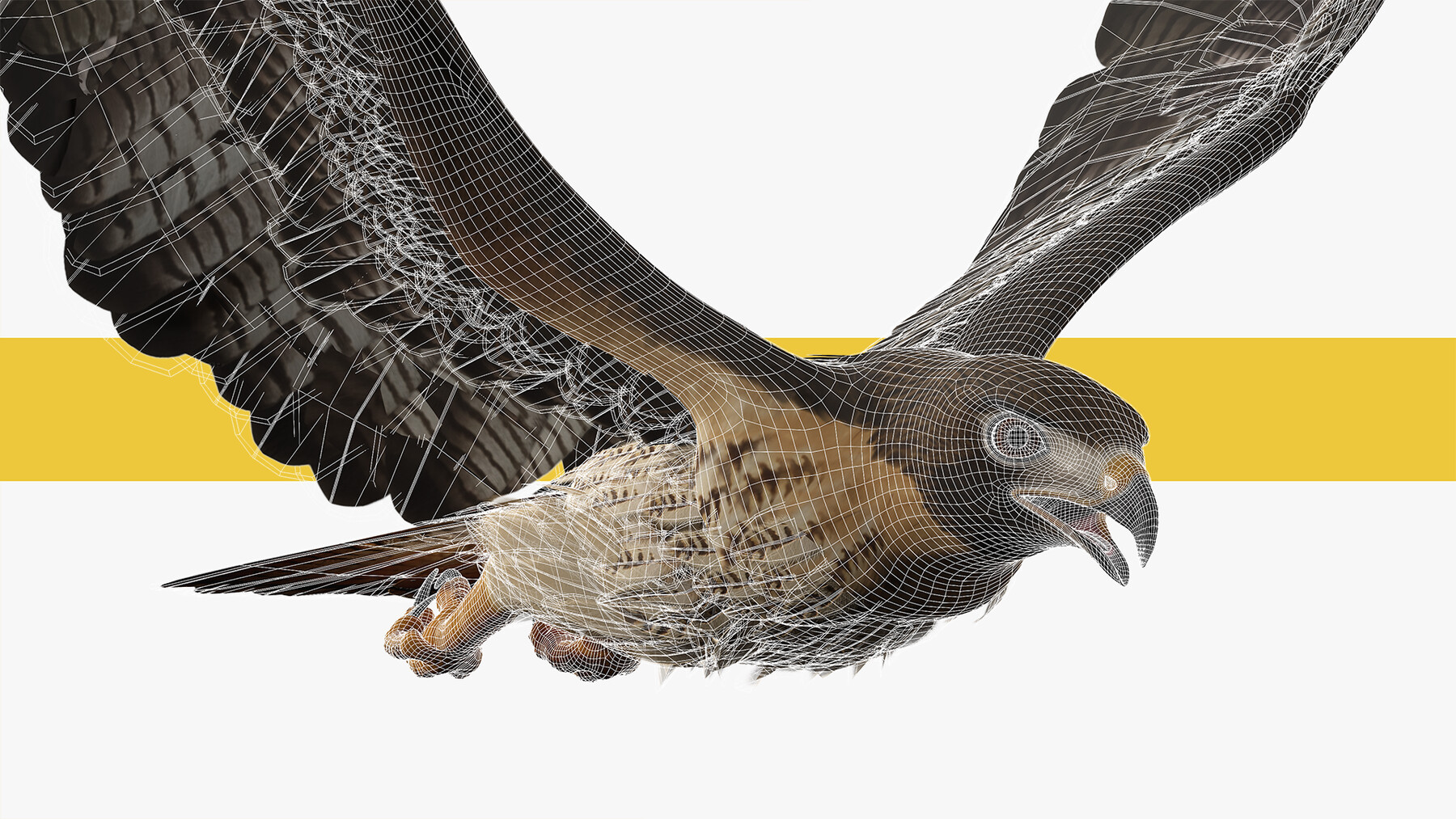 ArtStation - Stunning 3D Model of a Majestic Falcon Wildlife ...