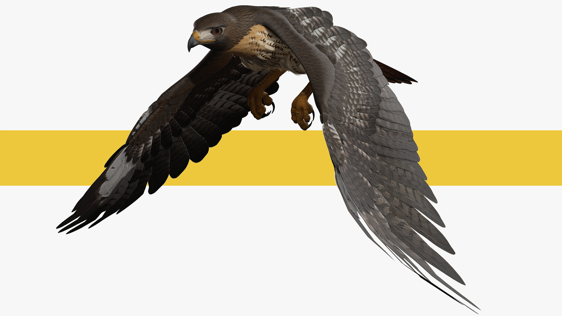 ArtStation - Stunning 3D Model of a Majestic Falcon Wildlife ...