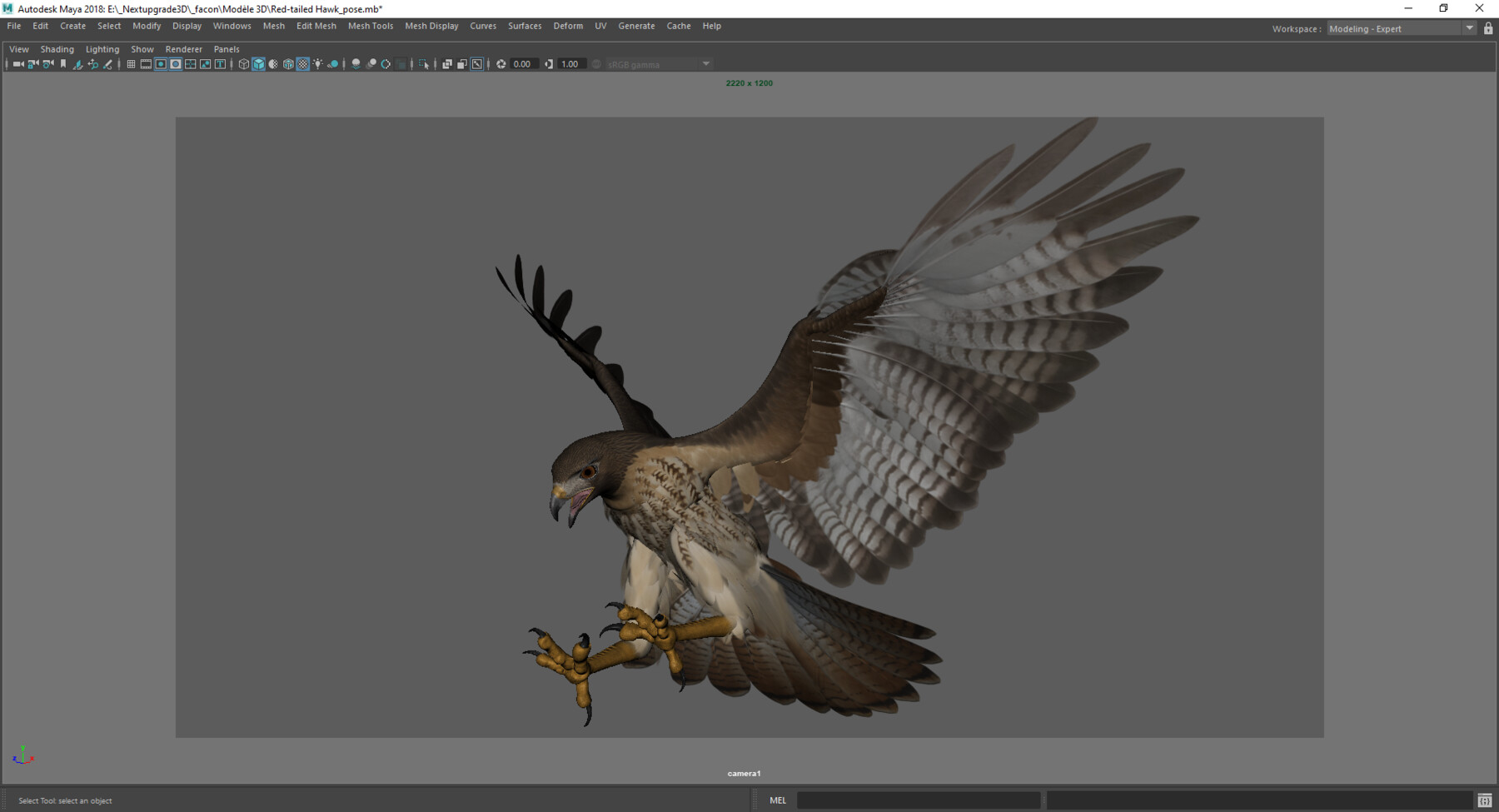 ArtStation - Stunning 3D Model of a Majestic Falcon Wildlife Enthusiasts | Game Assets