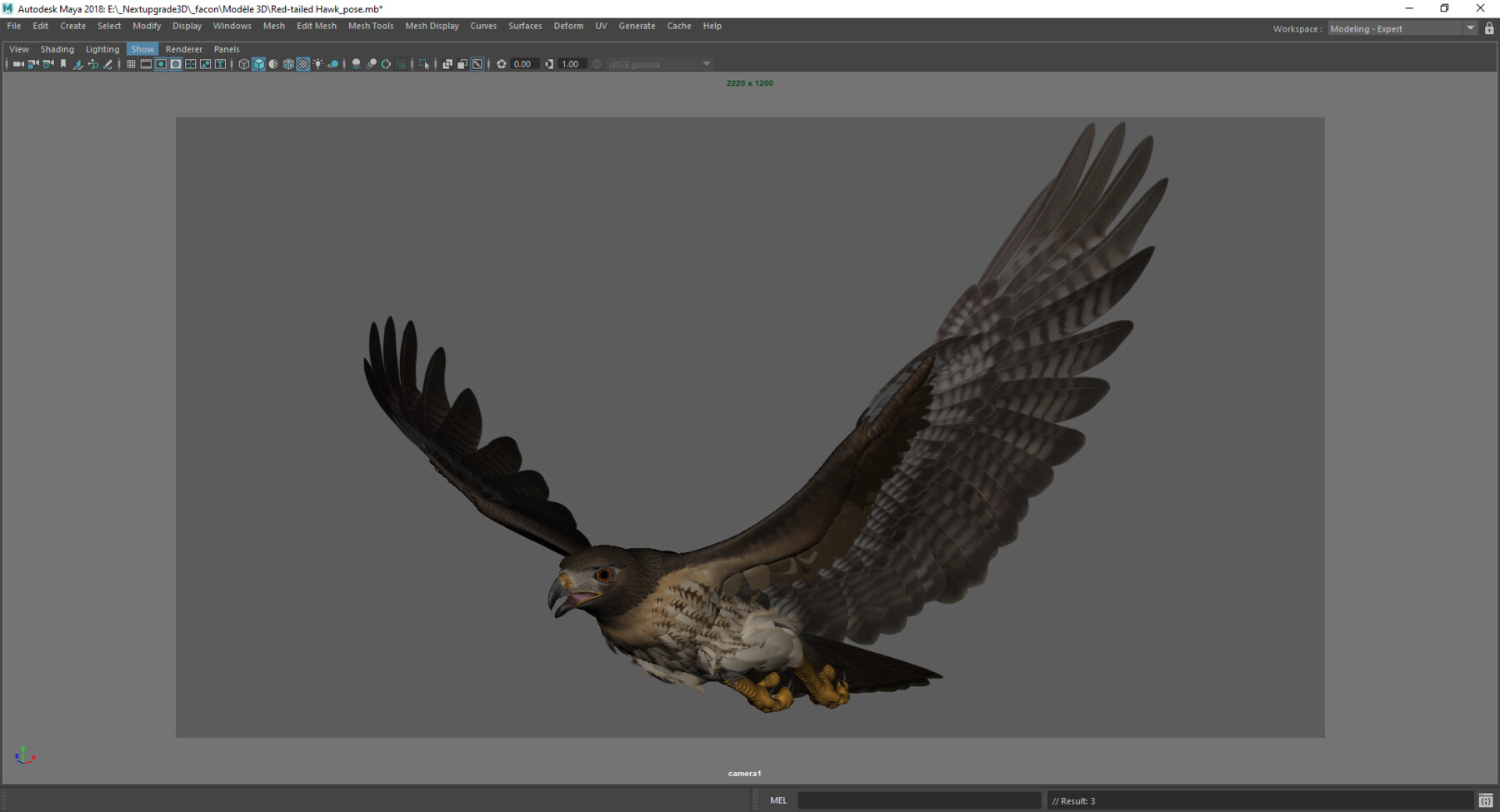 ArtStation - Stunning 3D Model of a Majestic Falcon Wildlife ...