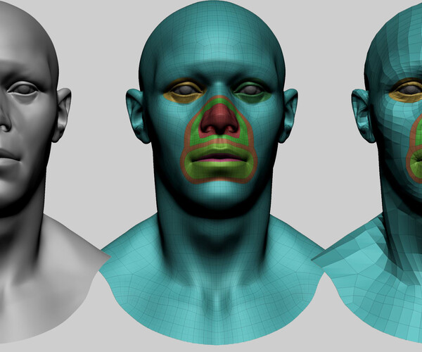 ArtStation - Base Male Head H | Resources