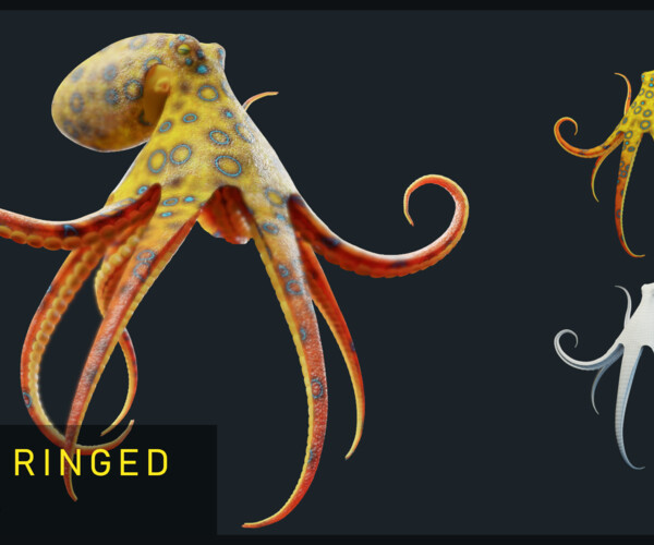 ArtStation - Animated Octopus- Blue-Ringed | Game Assets