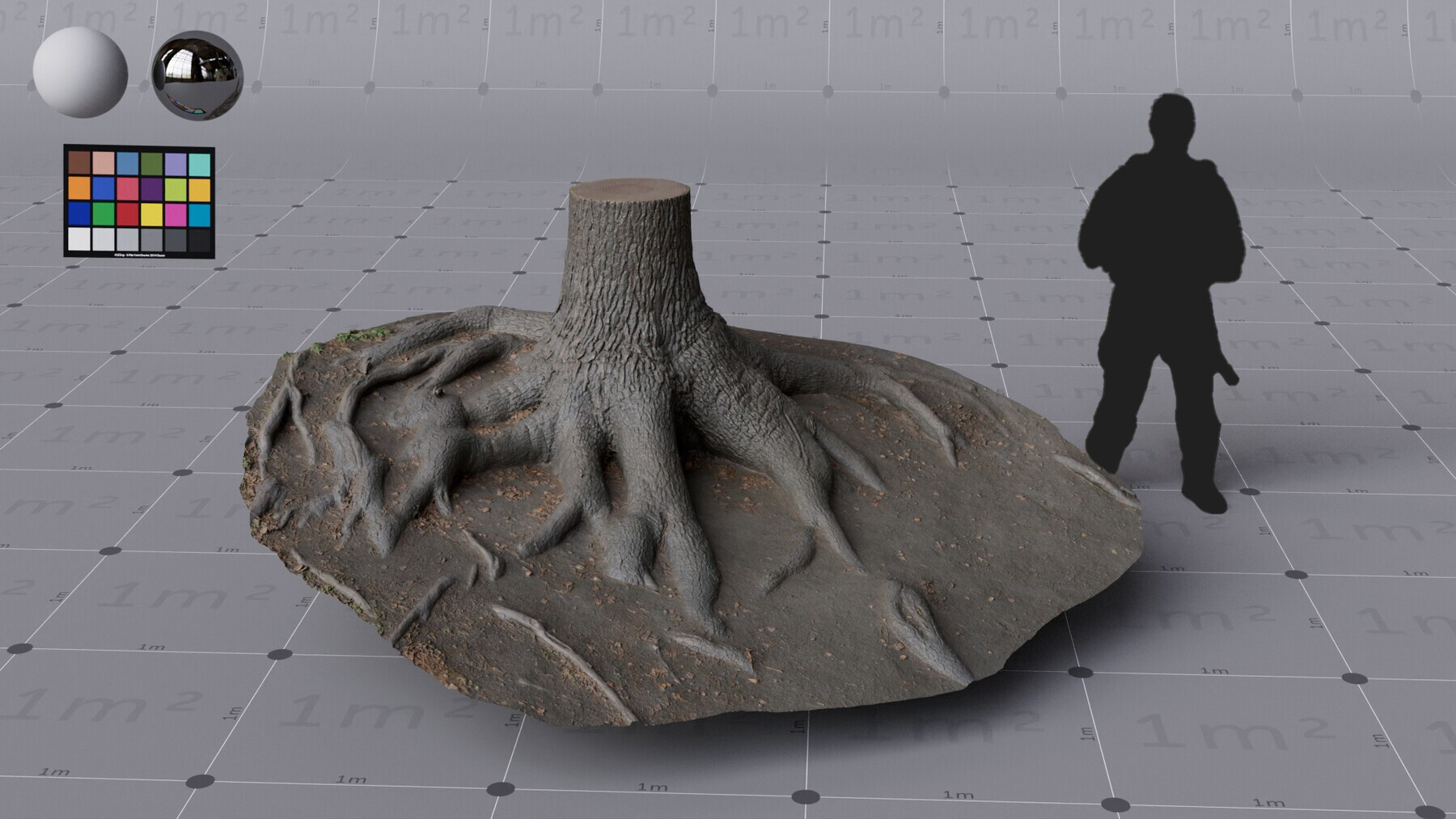 Miroslav Šamánek - Pine Tree Stump with Roots - high quality, render ...