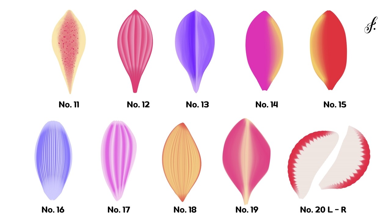 ArtStation - Procreate Flowers | 131 Procreate Effortless Flower ...