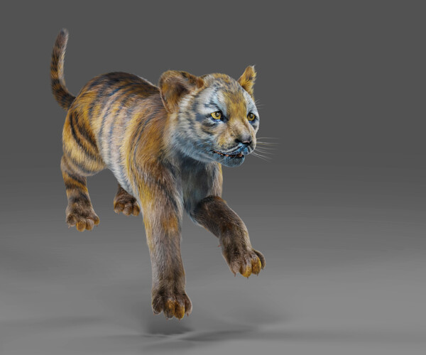ArtStation - Fur Tiger Cub Rigged and Animated in Blender | Game Assets