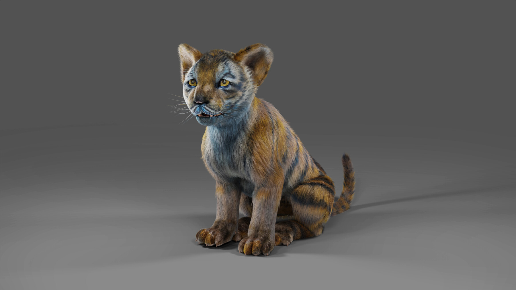 ArtStation - Fur Tiger Cub Rigged and Animated in Blender | Game Assets